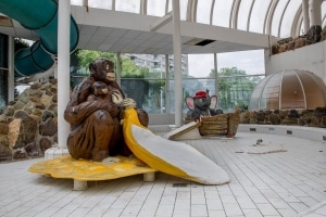 Tropicana Rotterdam - Het verhaal met veel zwembad foto's